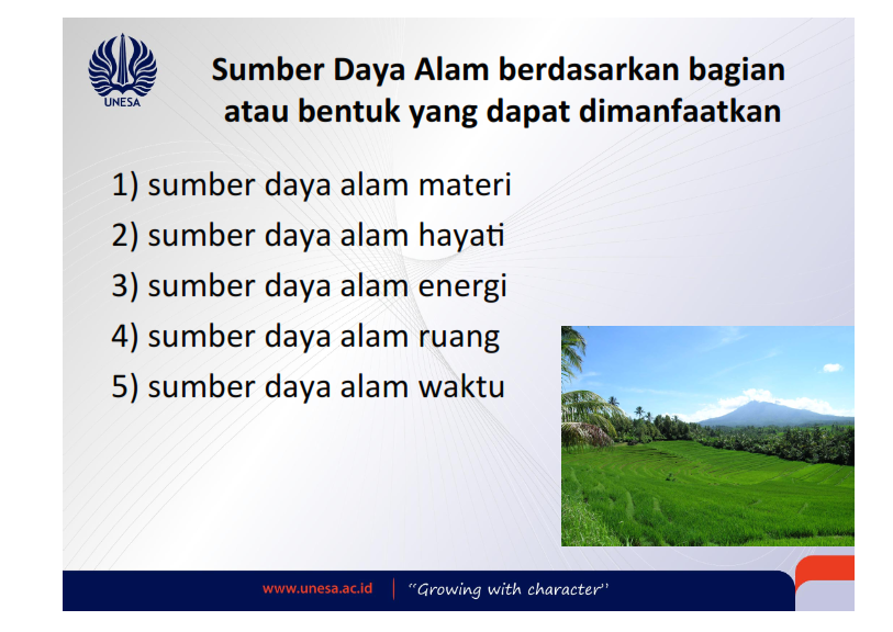 Materi Sumber Daya Alam | LMS-SPADA INDONESIA