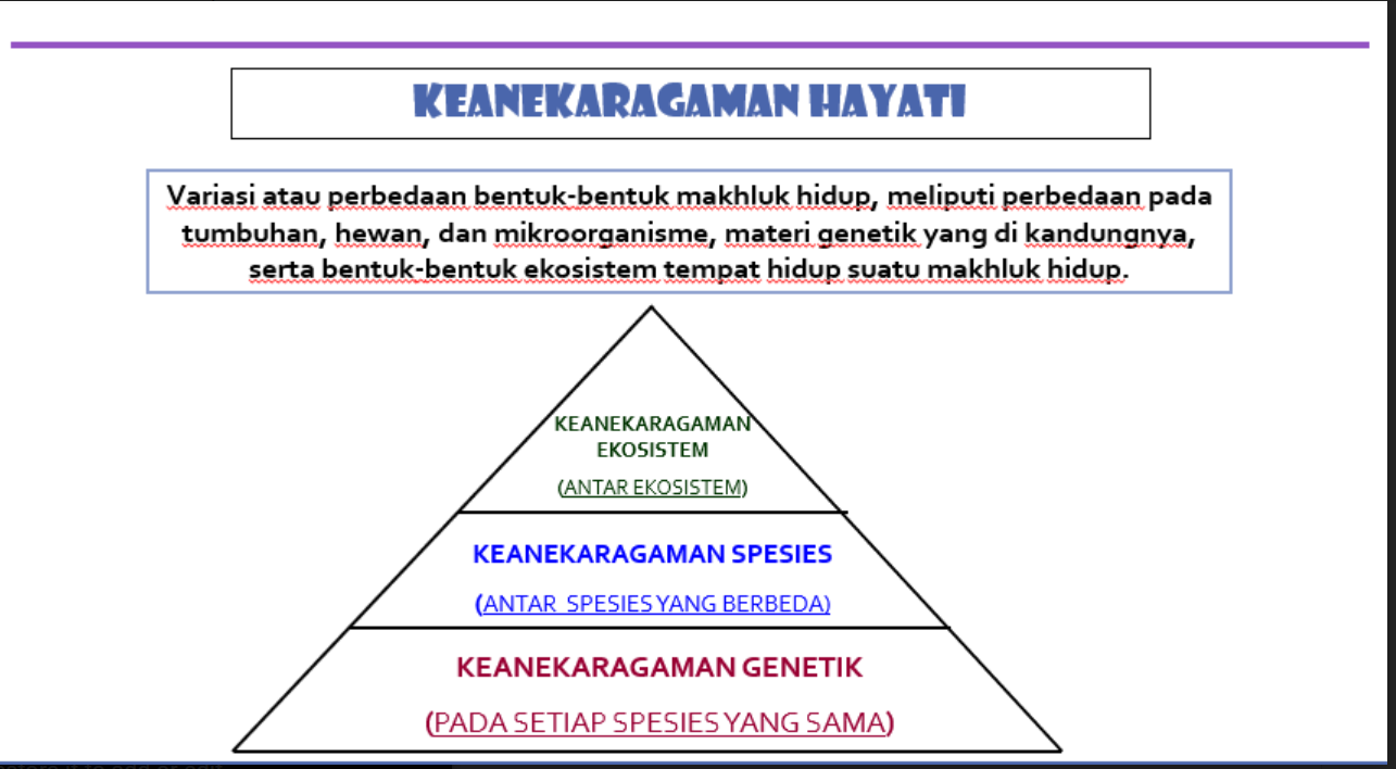 Week: Pertemuan 12. Tingkat keanekaragaman hayati (komunitas/ habitat ...